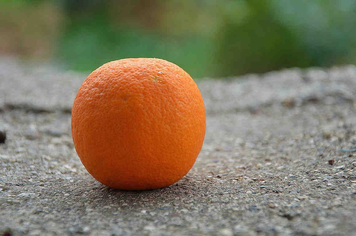 When Kicking Around an Orange Gets You On Probation | American Civil ...