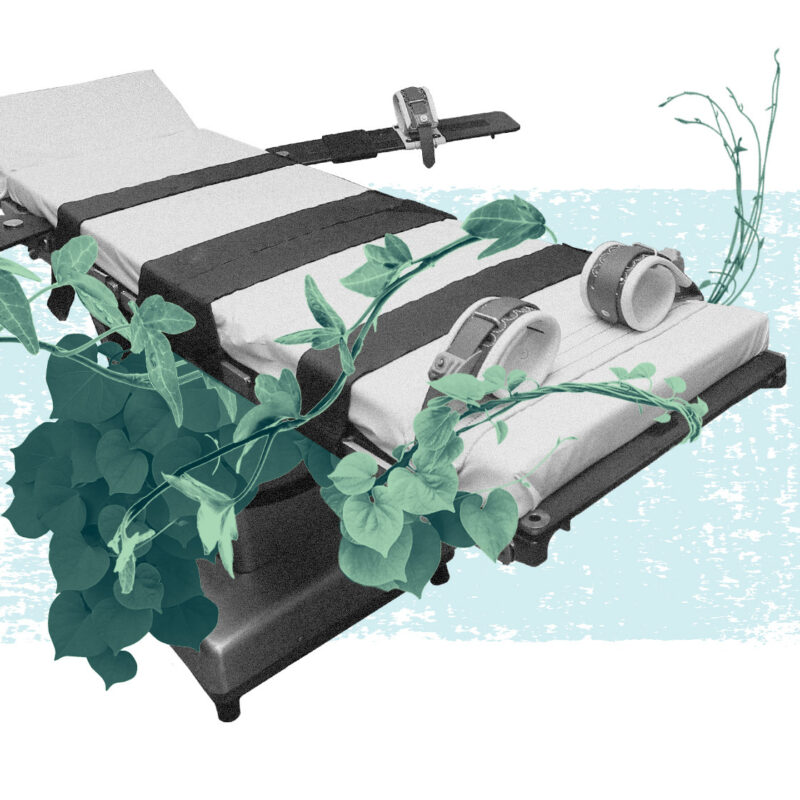 Capital Punishment | American Civil Liberties Union