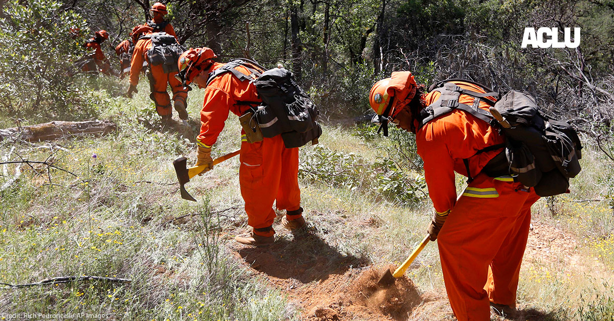 Captive Labor: Stories of Involuntary Servitude | ACLU